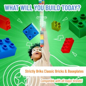 Strictly Briks Compatible with Lego Large Classic Stackable Baseplates, for Building Bricks, Bases for Tables, Mats, and More, 100% Compatible with All Major Brands, Green, 1 Piece, 10x10 Inches