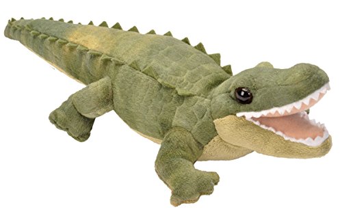 Wild Republic Alligator Plush, Stuffed Animal, Plush Toy, Gifts for Kids, Cuddlekins 8 Inches