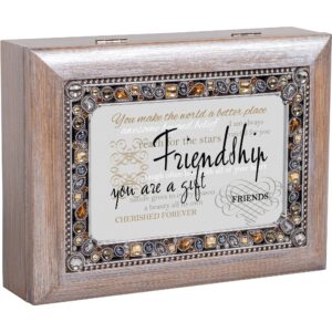 Cottage Garden Friendship You are a Gift Brushed Pewter Jeweled Music Box Plays What Friends are for