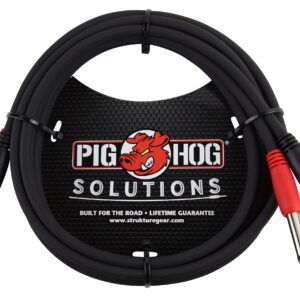 Pig Hog PD-21410 Dual 1/4" Mono (Male) Cable, 10 Feet