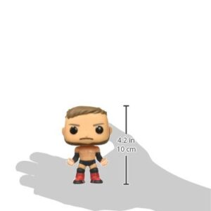 Funko POP WWE Finn Balor (Styles May Vary) Action Figure