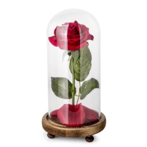 "beauty and the beast" rose kit, red silk rose and led light with fallen petals in glass dome on wooden base for home decor holiday party wedding anniversary