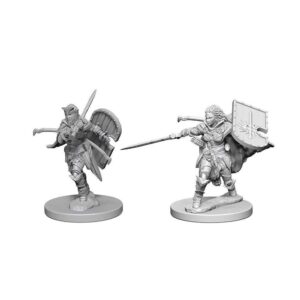 wizkids pathfinder: deep cuts unpainted miniatures: human female paladin