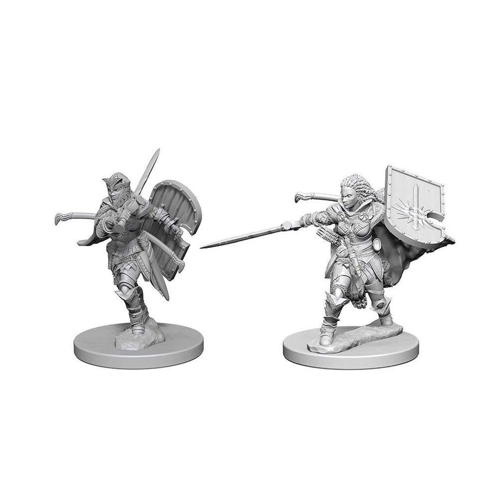 WizKids Pathfinder: Deep Cuts Unpainted Miniatures: Human Female Paladin