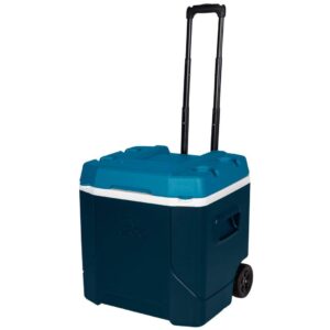 maxcold cooler 54qt