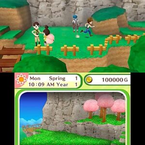 Harvest Moon Skytree Village (Nintendo 3DS)