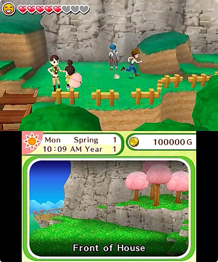 Harvest Moon Skytree Village (Nintendo 3DS)