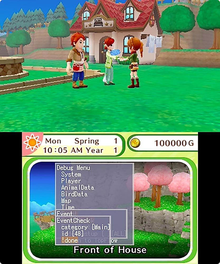 Harvest Moon Skytree Village (Nintendo 3DS)