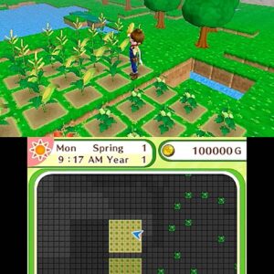 Harvest Moon Skytree Village (Nintendo 3DS)