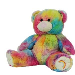 Record Your Own Plush 16 Inch Rainbow Bear - Ready 2 Love in a Few Easy Steps