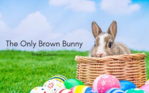 the only brown bunny