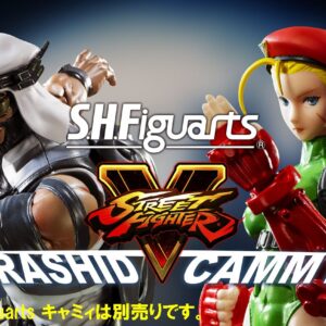 TAMASHII NATIONS Bandai S.H.Figuarts Rashid Street Fighter V Action Figure