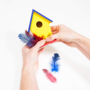 Surprise Ride Paint a Birdhouse Activity Kit STEM Learning