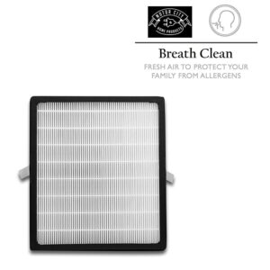 BATEMEN Premium Idylis C + D Filter Bundle Made to Fit Idylis IAP-10-280 (with Carbon Filters)