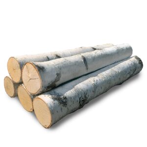 wilson white birch fireplace large long logs, 23-24" l x 3-4" d (set of 5)