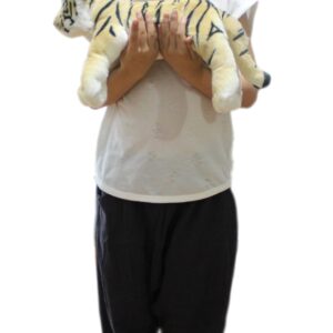 TAGLN The Jungle Animals Stuffed Plush Toys Tiger Leopard Panther Lioness Pillows (Brown Tiger, 16 Inch)