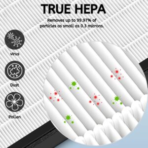 Nispira Replacement HEPA Filter Plus Activated Carbon Pre Filter Compatible with Rabbit Air Classic BioGS Models SPA-421A & SPA-582A, 2 Sets