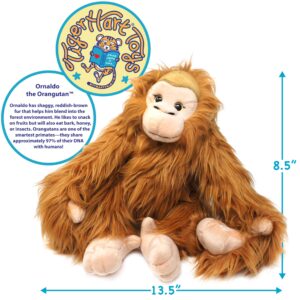 TigerHart Ornaldo The Orangutan Monkey - 19 Inch (with Hanging Arms Outstretched) Stuffed Animal Plush Chimpanzee