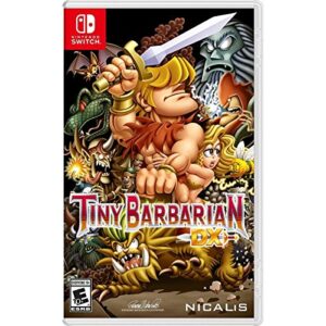 tiny barbarian dx - nintendo switch