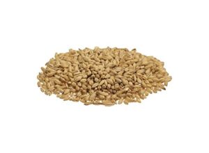 brewmaster - gr355fm malt - golden promise - 10 lb milled