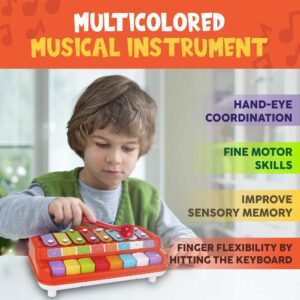 Toysery 2 in 1 Baby Piano Xylophone for Toddlers. Piano Toy Musical Instrument with 8 Multicolored Key Scales in Crisp and Clear Tones. Mallet Included. Ages 3 Years and Above.