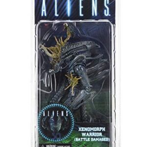 NECA - Aliens 7" scale action figure - Series 12 Xenomorph Warrior Blue (Battle Damaged)