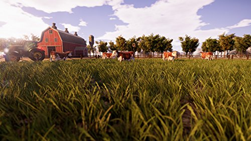 Real Farm - PlayStation 4