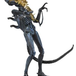 NECA - Aliens 7" scale action figure - Series 12 Xenomorph Warrior Blue (Battle Damaged)