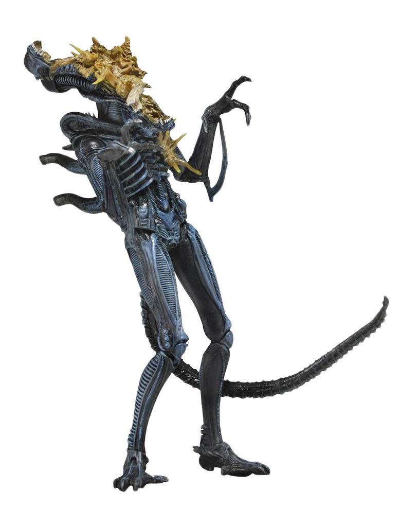 NECA - Aliens 7" scale action figure - Series 12 Xenomorph Warrior Blue (Battle Damaged)