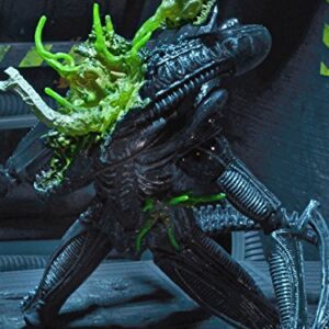 NECA - Aliens 7" scale action figure - Series 12 Xenomorph Warrior Blue (Battle Damaged)