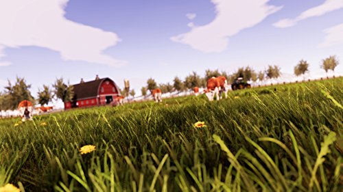 Real Farm - PlayStation 4