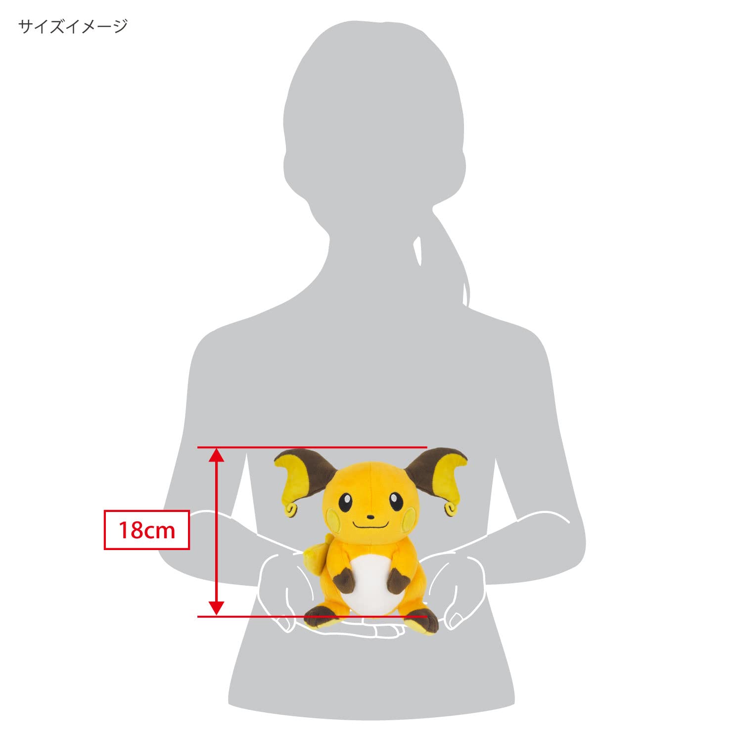 Pokemon All Star Collection - PP79 - Raichu Plush7