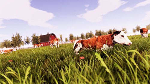 Real Farm - PlayStation 4