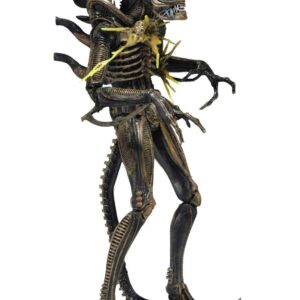 NECA - Aliens 7" scale action figure - Series 12 Xenomorph Warrior Brown (Battle Damaged)