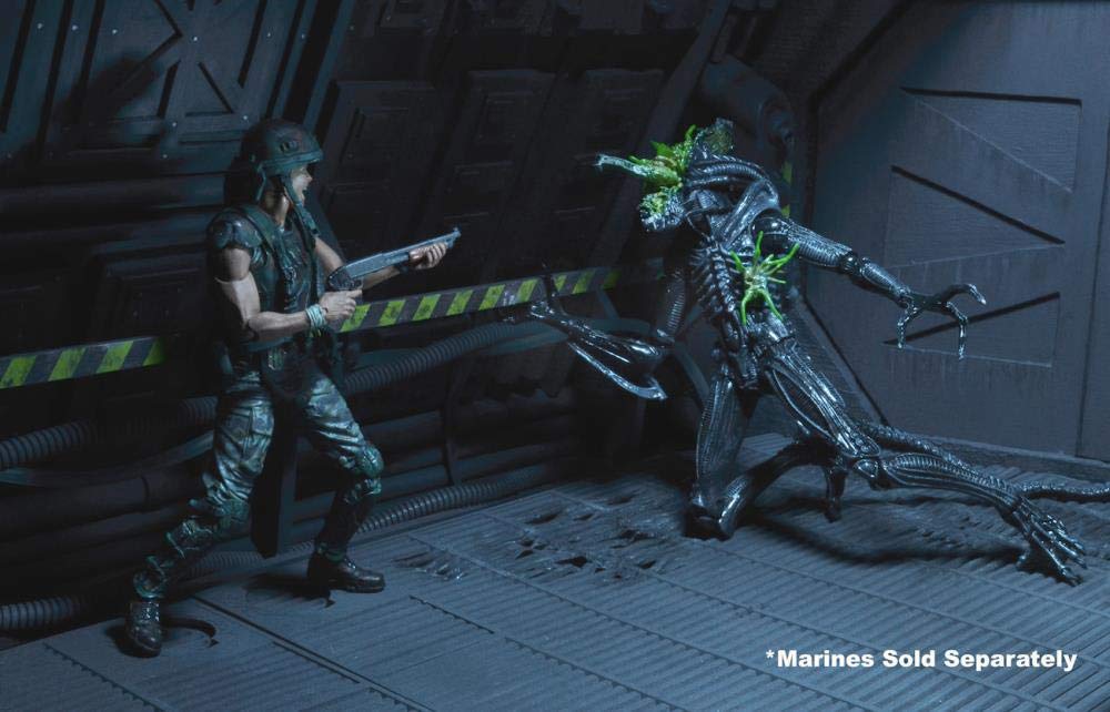 NECA - Aliens 7" scale action figure - Series 12 Xenomorph Warrior Blue (Battle Damaged)