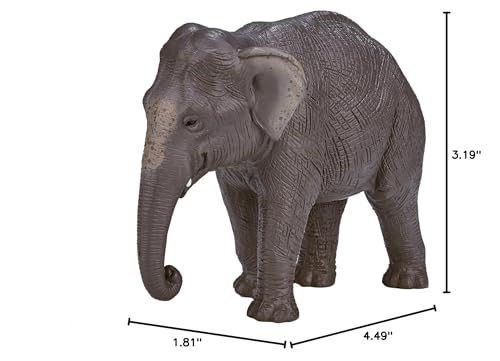 MOJO Asian Elephant Realistic International Wildlife Toy Replica Hand Painted Figurine, Grey (387266)