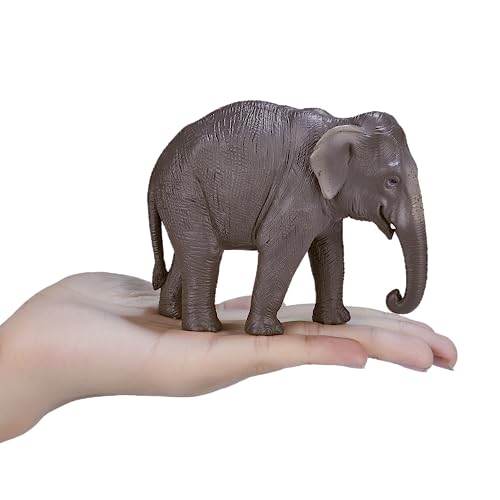 MOJO Asian Elephant Realistic International Wildlife Toy Replica Hand Painted Figurine, Grey (387266)