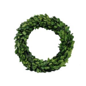 preserved garden boxwood round wreath 10" by cocomia