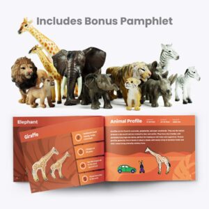 Boley Jungle Safari Animal Set - 12-Piece Detailed Wildlife Figures for Educational Play - Durable Kids Toys Including Elephants, Giraffe, Lion, Tiger, Zebra - Ideal for Party Favors & Classroom