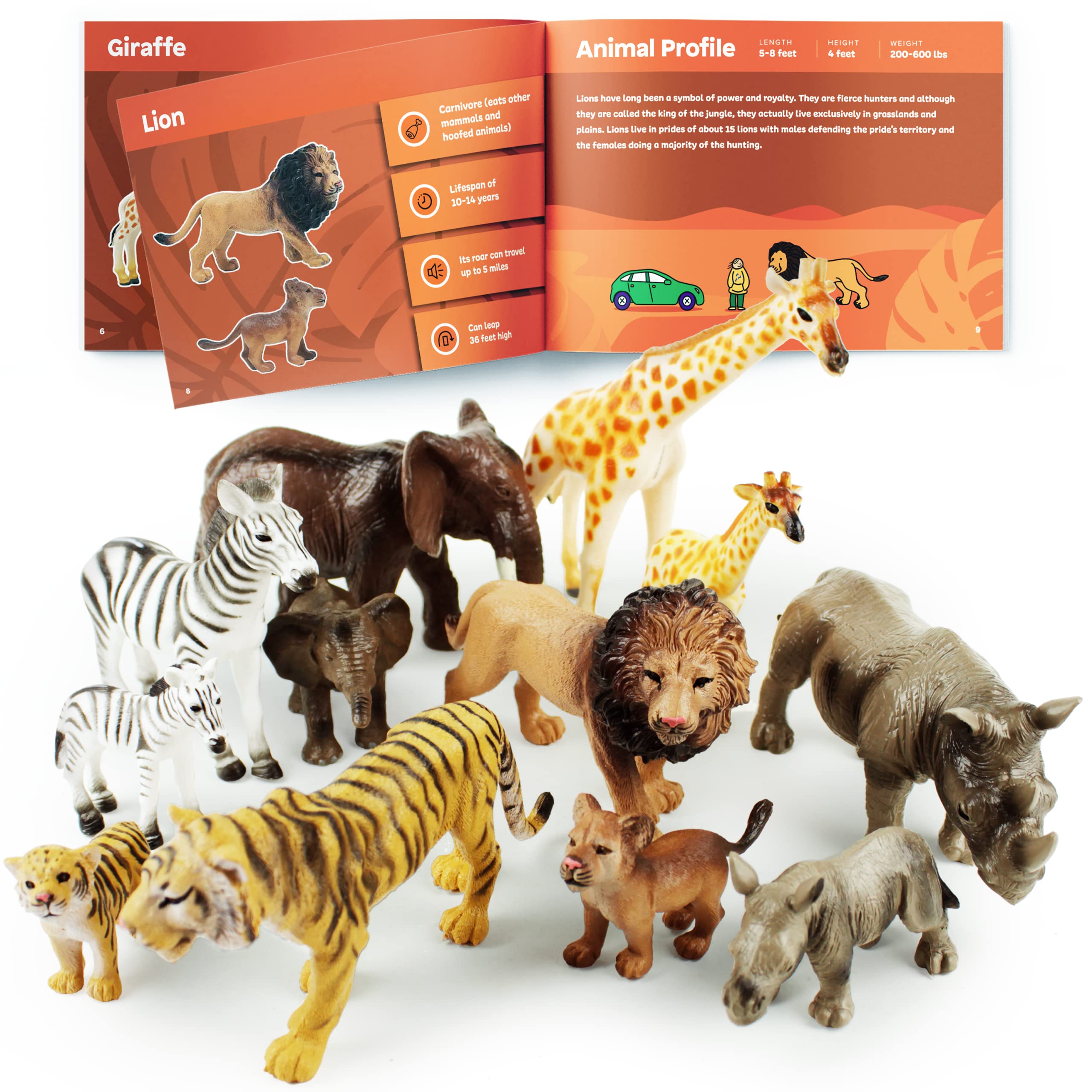 Boley Jungle Safari Animal Set - 12-Piece Detailed Wildlife Figures for Educational Play - Durable Kids Toys Including Elephants, Giraffe, Lion, Tiger, Zebra - Ideal for Party Favors & Classroom