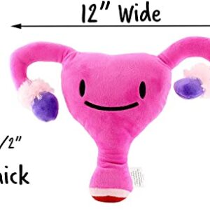 Attatoy Plush Uterus - Ivy The Uterus - Stuffed Toy, 12-Inch After Surgery Pal, Hysterectomy, Endometriosis, Fallopian Tubes, Ovaries