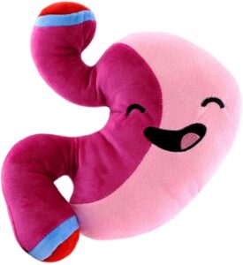 attatoy plush stomach - barry the sleeve - 10-inch after surgery pal, bariatric gastric bypass sleeve; surgery education, surgeon gift