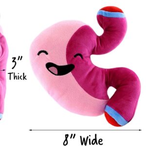 Attatoy Plush Stomach - Barry The Sleeve - 10-Inch After Surgery Pal, Bariatric Gastric Bypass Sleeve; Surgery Education, Surgeon Gift