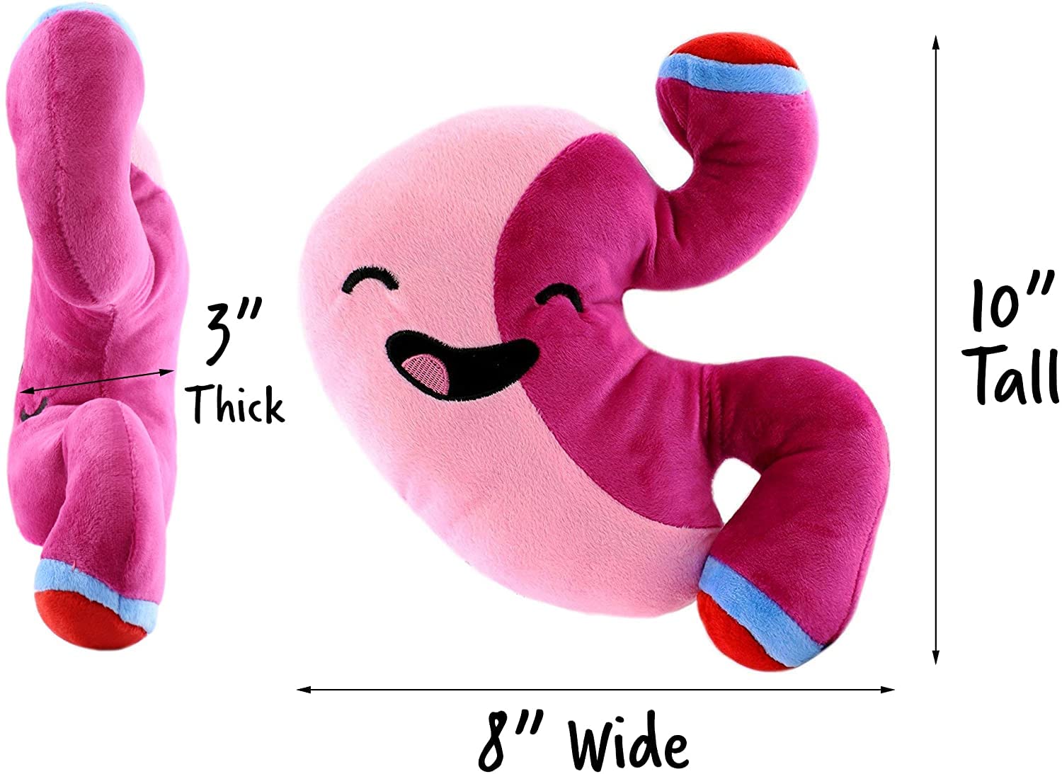 Attatoy Plush Stomach - Barry The Sleeve - 10-Inch After Surgery Pal, Bariatric Gastric Bypass Sleeve; Surgery Education, Surgeon Gift