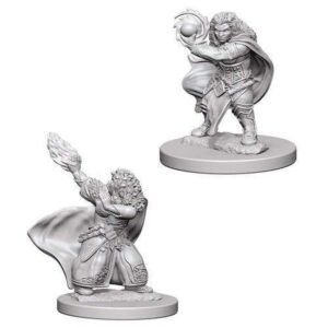 D&D Nolzurs Marvelous Unpainted Miniatures: Wave 3: Dwarf Female Paladin