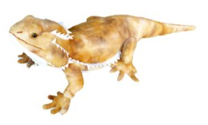 adore 21" pogo the bearded dragon lizard stuffed animal plush toy