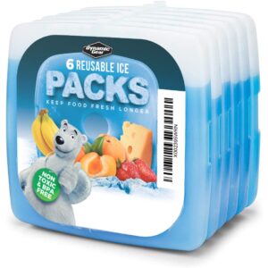 dynamic gear reusable ice packs (6 pack) for lunch box - slim, lightweight freezer cold packs for coolers, lunch boxes & camping