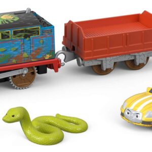 Thomas & Friends TrackMaster, Thomas & Ace the Racer