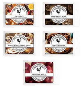 wax melts, 16 oz - with 5 scented options including fall spice, vanilla, cinnamon caramel, pecan waffles and apple - soy candle melting warmer cubes with natural scent and non toxic ingredients