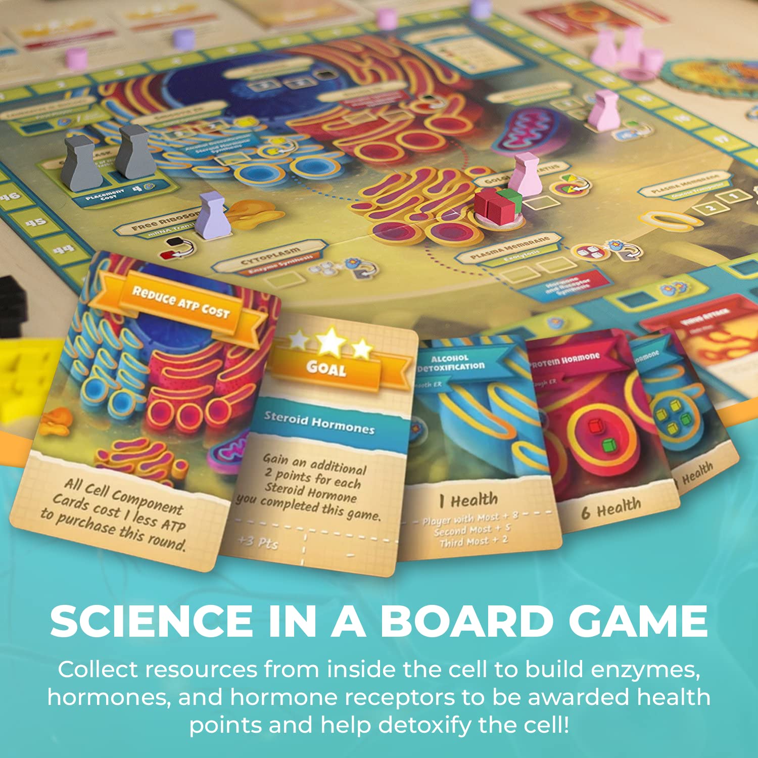 Cytosis: A Cell Biology Board Game | A Science Accurate Strategy Board Game About Building Proteins, Carbohydrates, Enzymes, Organelles, & Membranes | Fun Science Games for Adults & Family Game Night